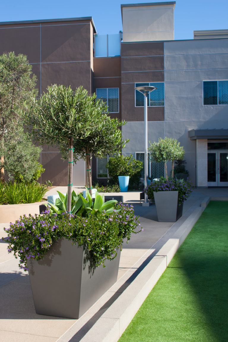 Defining areas - Cardiff rectangles can be positioned in an non ...